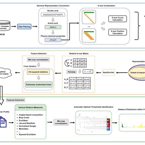 Schematic Representation Of VISTA Workflow First K Mer Profiles Were