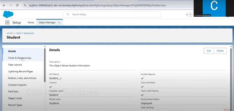 Text Types Custom Fields In Salesforce Crs Info Solutions