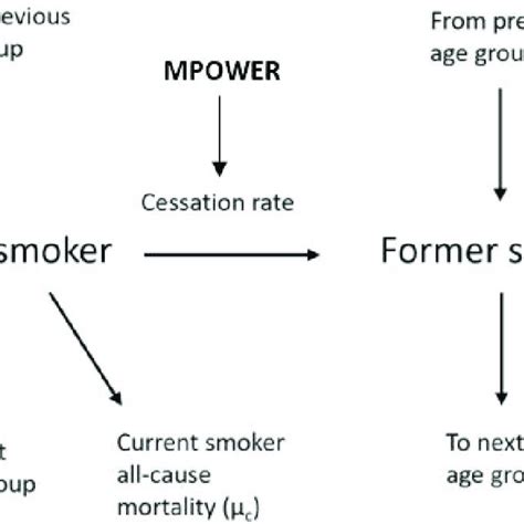 Diagram Of The Stock And Flow Simulation Model A Diagram Illustrating