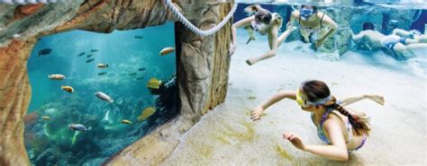 Vakantiepark Belgi Met Zwembad Top Mooiste Parken