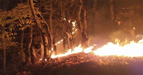 آتش‌سوزی پنج روزه هشتاد هکتار از جنگل‌های گیلان را سوزاند ایندیپندنت فارسی