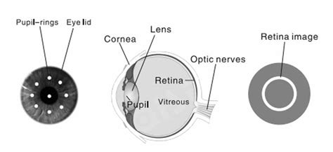 Aist Optics Auto Refractor Refractometer With Keratometer Optical