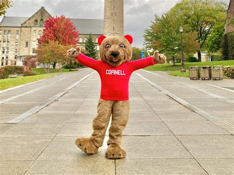 November Burst Touchdown Mobile Project