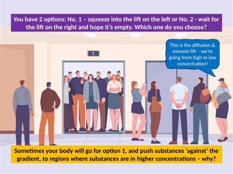 Active Transport For Section 2d Edexcel Igcse Biology Movement Of