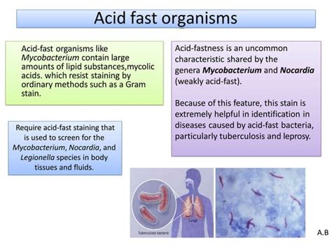 Acid Faststaining For Differentiate Acid Fast Bacteria Pptx