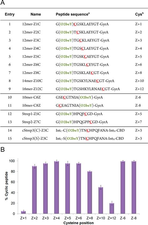 Bioinspired Strategy For The Ribosomal Synthesis Of Thioether Bridged