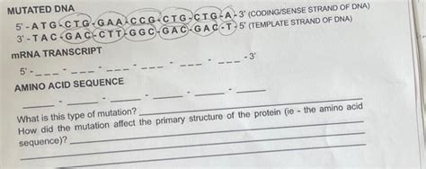 Solved MUTATED DNA A T G C T G GAA C C G C T G CT Chegg