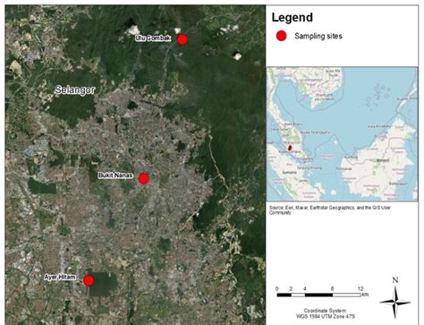 Three Sampling Sites Black Circles Of Human Disturbed Forest Edges In Download Scientific