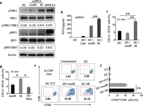 Oxidized Mtdna Ingested By Dcs Activates The Tbk1 Irf3 Ifn β Pathway In Download Scientific