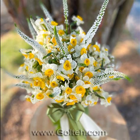 گل و گلدون نرگس گل تهران