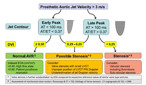 GuÍas Para La EvaluaciÓn De La FunciÓn De VÁlvulas ProtÉsicas Con Imagenes Cardiovasculares Ase