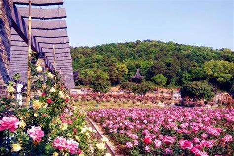2022年无锡哪里可以免费看梅花 旅泊网