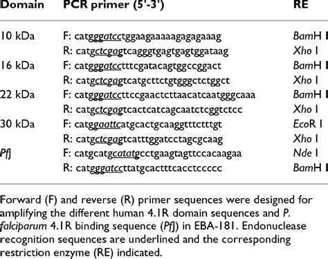 oligonucleotide primers download table