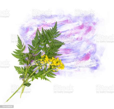 노란색 봄 여름 꽃과 잔디 꽃다발손으로 손으로 그린 밝은 수채화 얼룩 스팟 은 배경에 고립 된 스플래시 디자인 요소 사진입니다 카드 엽서 초대장 또는 웨딩 장식용 0명에