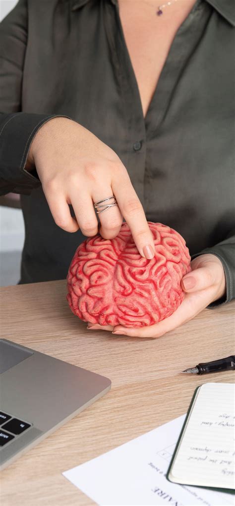 The Stages Of Memory Formation Unique Times Business Read This