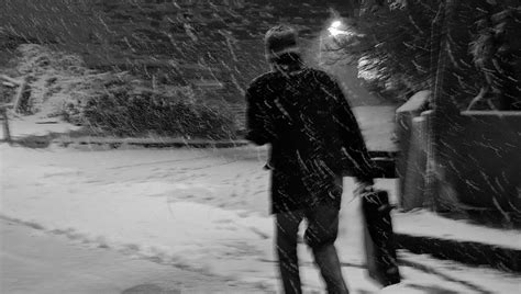 İmer Demirer Evergreen Dark Blue Notes