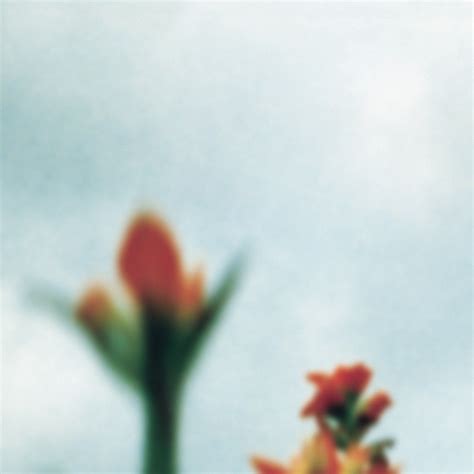 Nine Inch Nails The Fragile Ipad Wallpaper