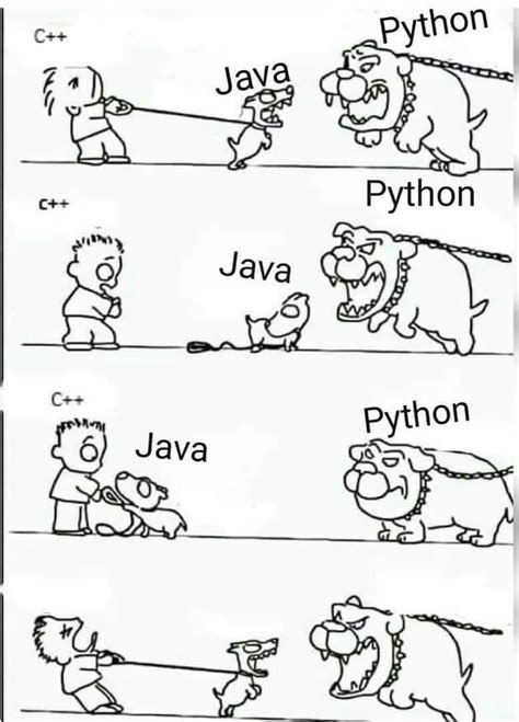 c java 그리고 python 후니넷