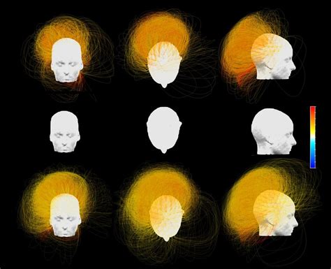 Functional Connectivity In The Theta Alpha Band A Three Dimensional Download Scientific
