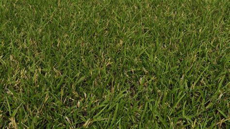 Pro Grass Blendernation Bazaar