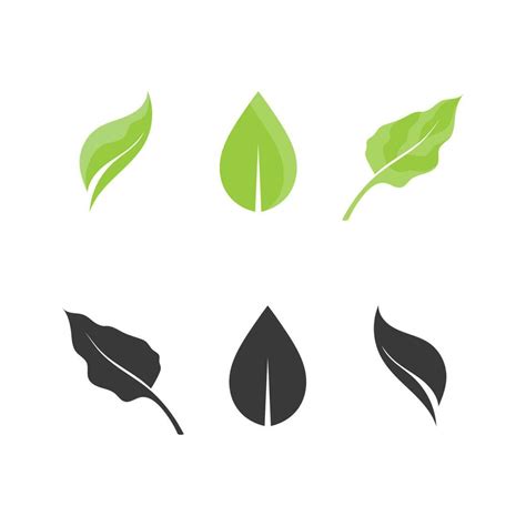 Tree Leaf Vector Design Eco Friendly Concept Logo Vector Art At Vecteezy