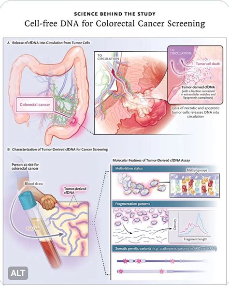 Colorectal Cancerresearch Cancertreatment Himanshu Mishra