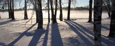 The Chapman Richards Growth Function Arne Pommerenings Webblog On Forest Biometrics And