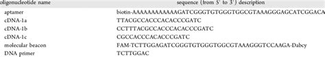 Dna Oligonucleotide Sequences Used In This Work Download Scientific