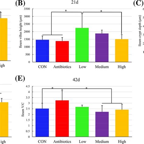 Morphological Cultural And Biochemical Characters Of Enterococcus Download Scientific Diagram