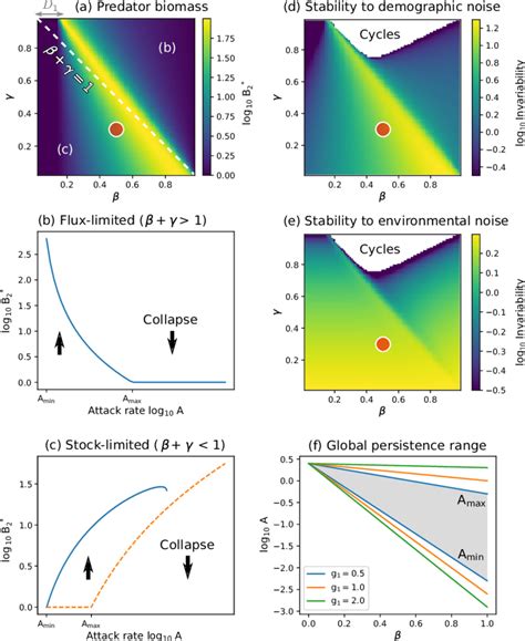 Equilibrium Predator Abundance And Persistence In The Dynamical Download Scientific Diagram