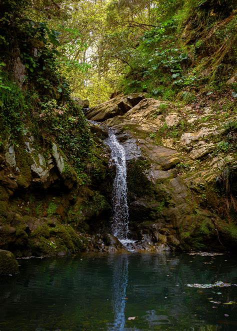 سكس بني تاكل زق Photos Download The Best Free سكس بني تاكل زق Stock