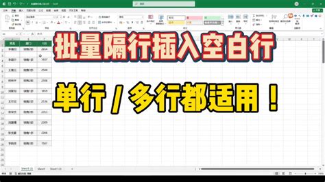 【excel技巧】批量隔行插入空白行，单行 多行都适用！ 小小王的excel 小小王的excel 哔哩哔哩视频