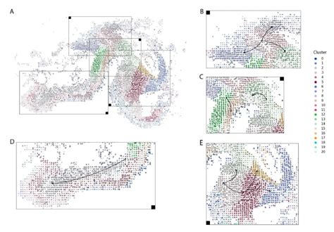 10x空间转录组速率分析（velocyto）之sirvsirv Spatial Inference Of Rna Velocity At The Sin Csdn博客