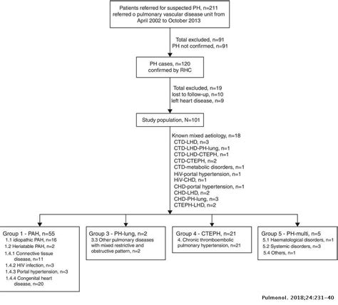 Pulmonary Hypertension Real World Data From A Portuguese Expert