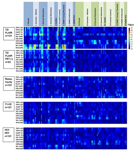 Heatmap Of The Correlation Analysis Between The Volumetric Overlap Of Download Scientific