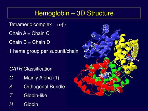 Ppt Hemoglobin 3d Structure Powerpoint Presentation Free Download Id 1804764