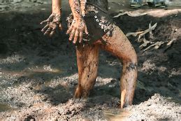 MPV Island Quicksand