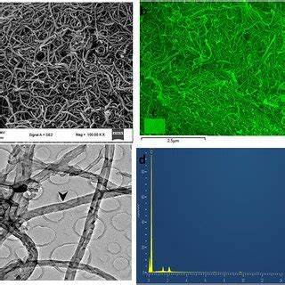 SEM A SEM EDX Mapping B SEM EDX D And TEM C Of Nickel Download Scientific Diagram