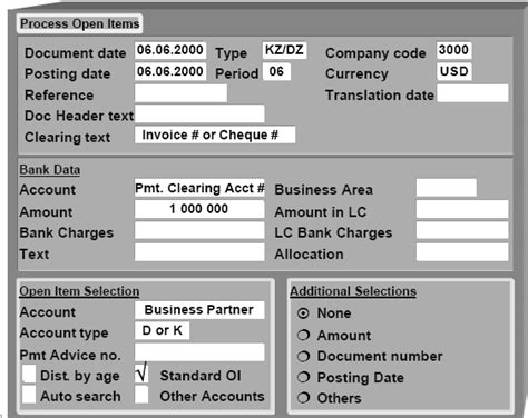 SAP Financial Open Item Clearing SAP ABAP
