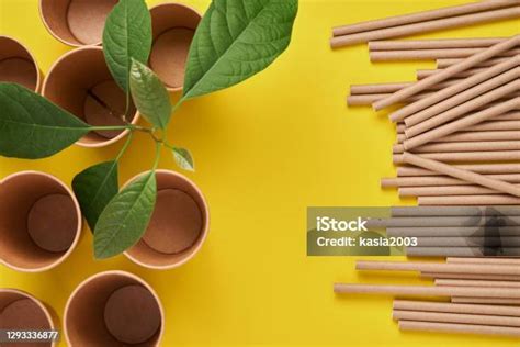 종이와 옥수수 전분으로 만든 튜브 생분해성 재료 및 녹색 새싹 잎이있는 에코 종이 안경은 노란색 트렌드 색상 2021 배경에 있습니다 제로 폐기물 및 플라스틱 무료 개념 맨