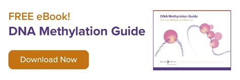 Dna Methylation Methods And Selection Guide
