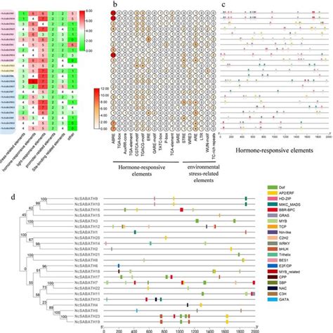Prediction Of Cis Acting Elements And Transcription Factor Binding