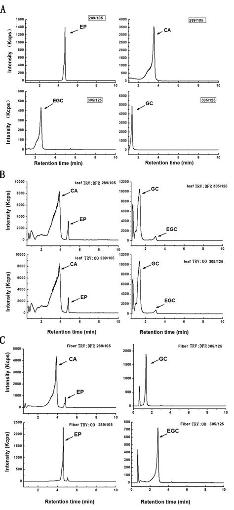 Lc Ms Based Profiling Determines The Flavan 3 Ols From Leaves And Download Scientific Diagram