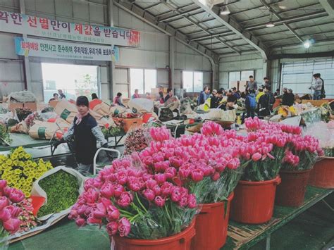 확장개업 네이버 블로그