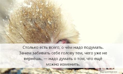 Секреты успеха великих людей опубликовал пост от 26 февраля 2020 в 18 52 Фотострана Пост