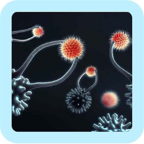 肿瘤代谢再次登顶 Science！1 小时讲清代谢研究的进展与现状 细胞 影响 技术