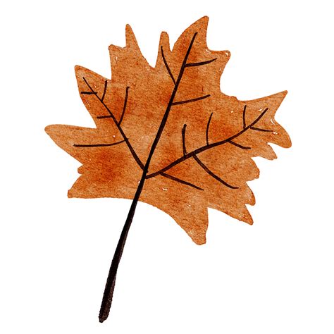 100000 Free Maple Leaf Hair And Maple Leaf Images Pixabay