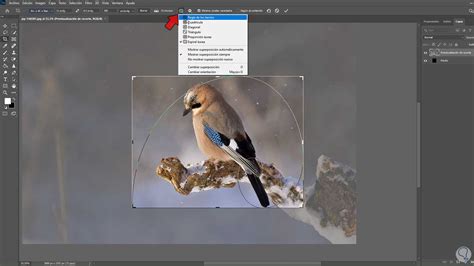Cómo Recortar Y Redimensionar Imagen En Photoshop ️ Solvetic