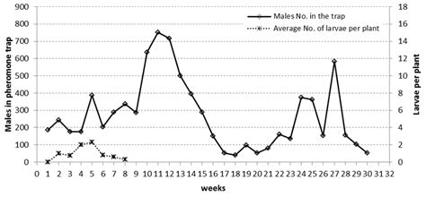Population Fluctuation Of Male Pests In Pheromone Trap And Larvae On