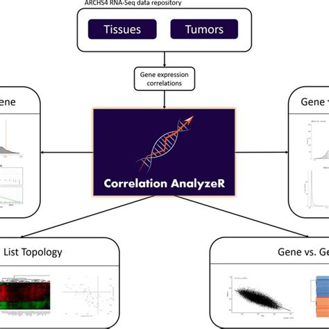 Overview Of Correlation Analyzer Rna Seq Read Counts Were Preprocessed Download Scientific